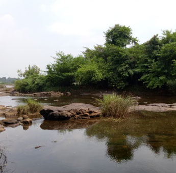 Malayattoor | Home